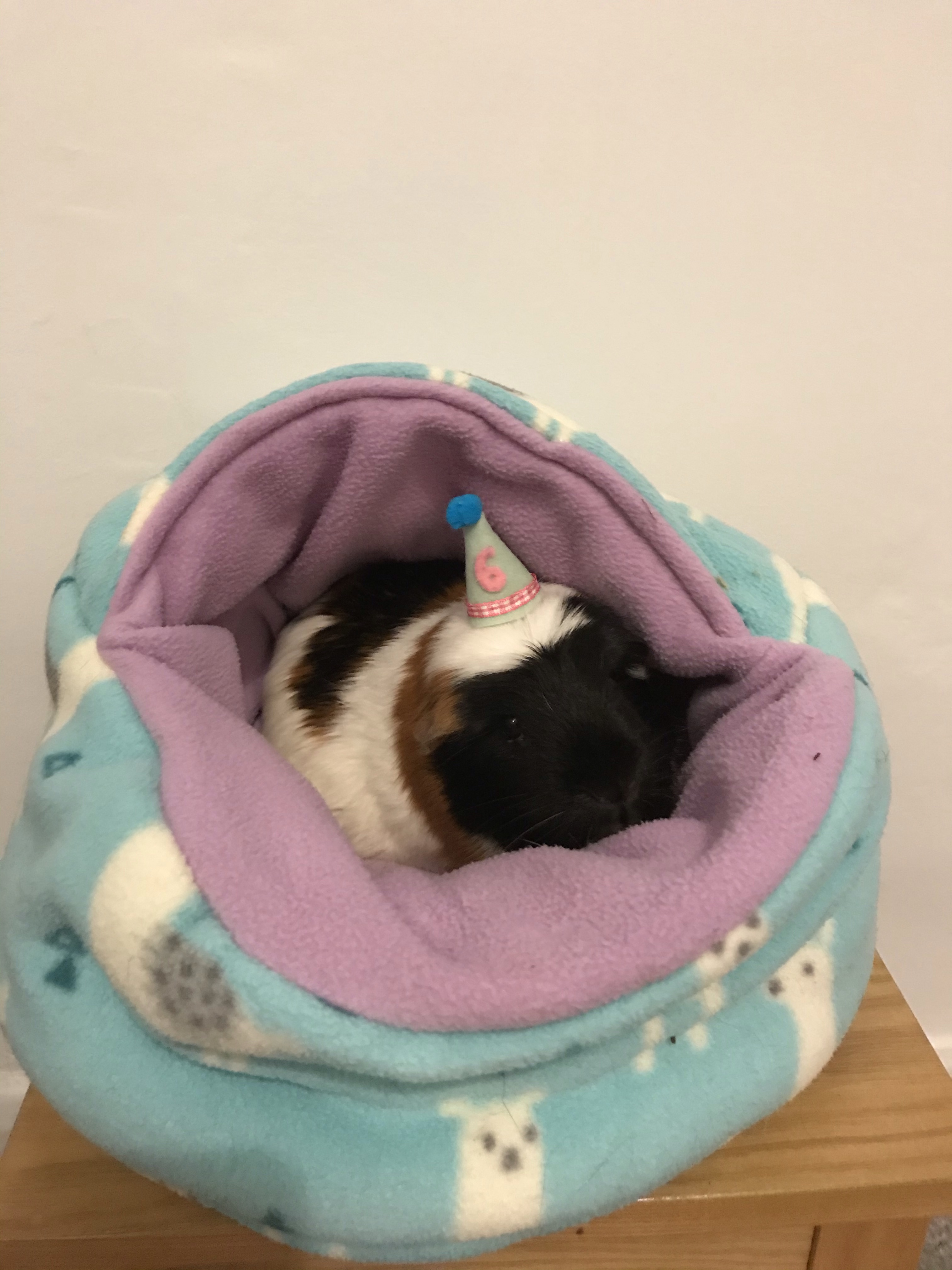 Our chronic illness mascot turns 6! – 'M.E. myself and I' by Anna